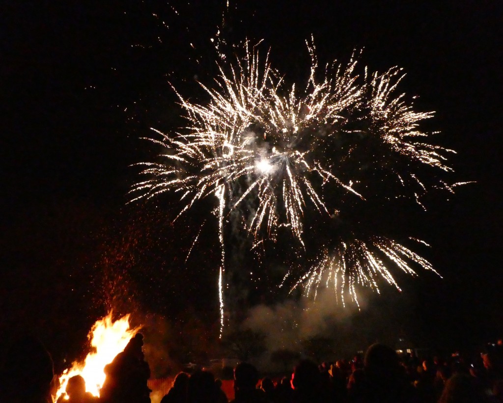 Ripley & Send Matters